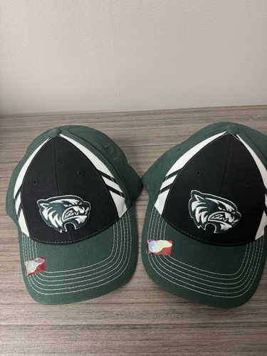 Utah Valley University Willy The Wolverine Green Captivating Headwear ...