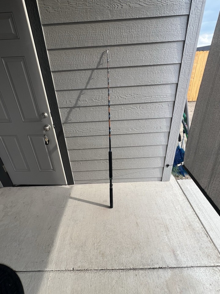 Californian HDG Series 30-60lb Rod | eBay