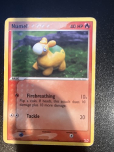 Numel 5/10 2004 Pokemon Trading Card | eBay