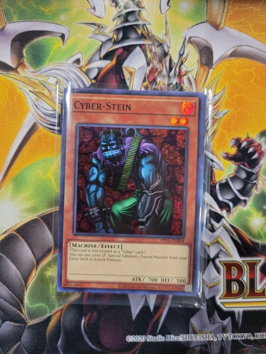 Cyber Stein