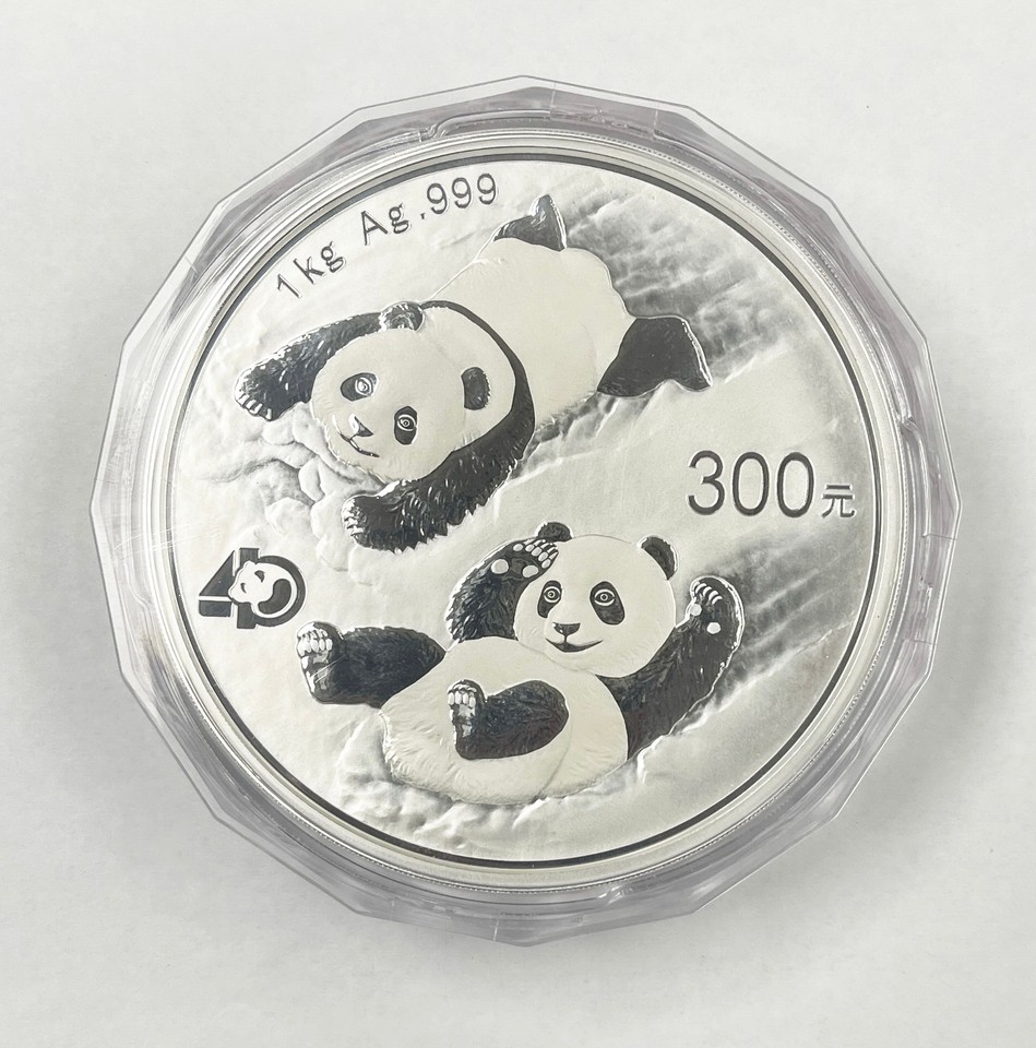 2022 Chinese 300 Yuan Panda 1 Kilo Fine .999 Silver Bullion ~ Free ...