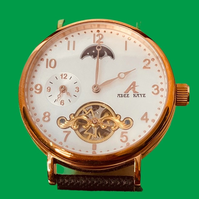 Adee Kaye Skeleton Men's Watch Automatic Lea Sports Original AK7117 for ...