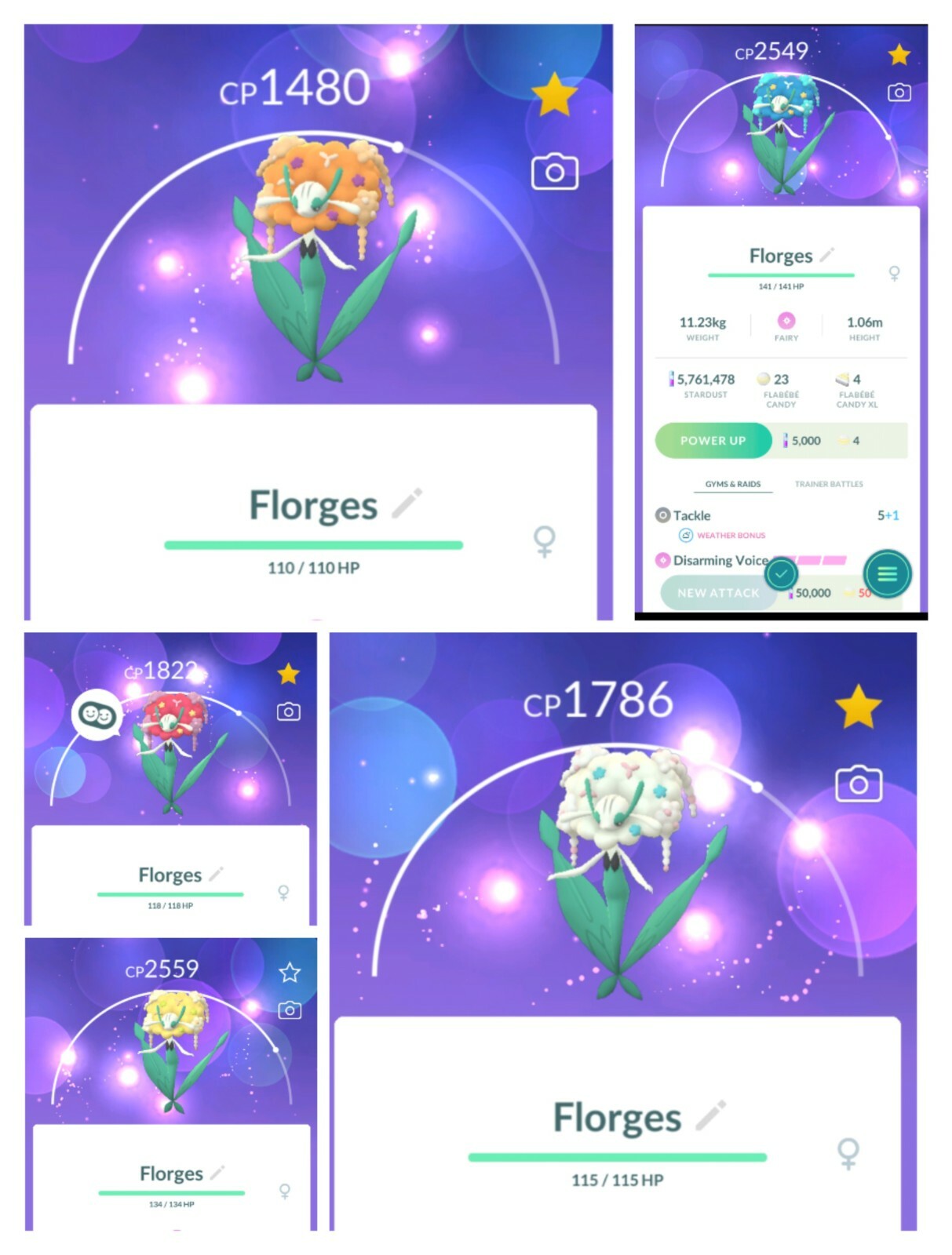 Flabebe Evolution