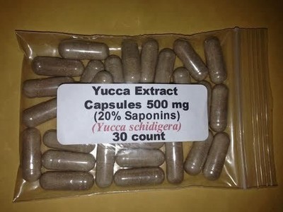 Yucca Root Extract Capsules (Yucca schidigera) (20% Saponins) 500 mg ...