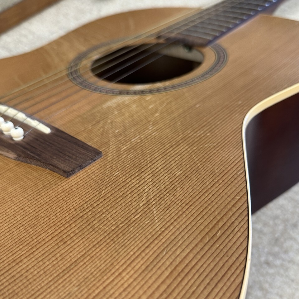 Seagull S6+ Folk Acoustic | eBay