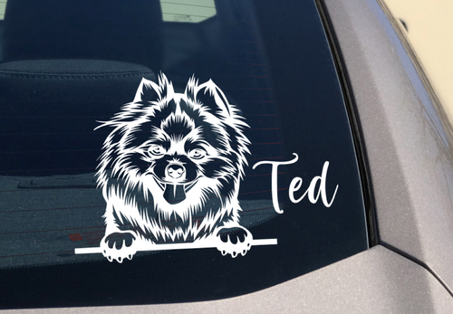 Pomeranian Peeking Dog Car Decal Vinyl Sticker Pom Dog Mum Love Poms ...