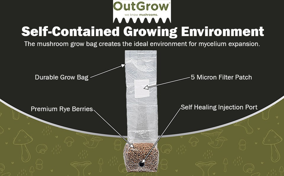 Mono Tub Fill Kit | Mushroom Substrate & Grain Spawn for 50-60 Quart ...