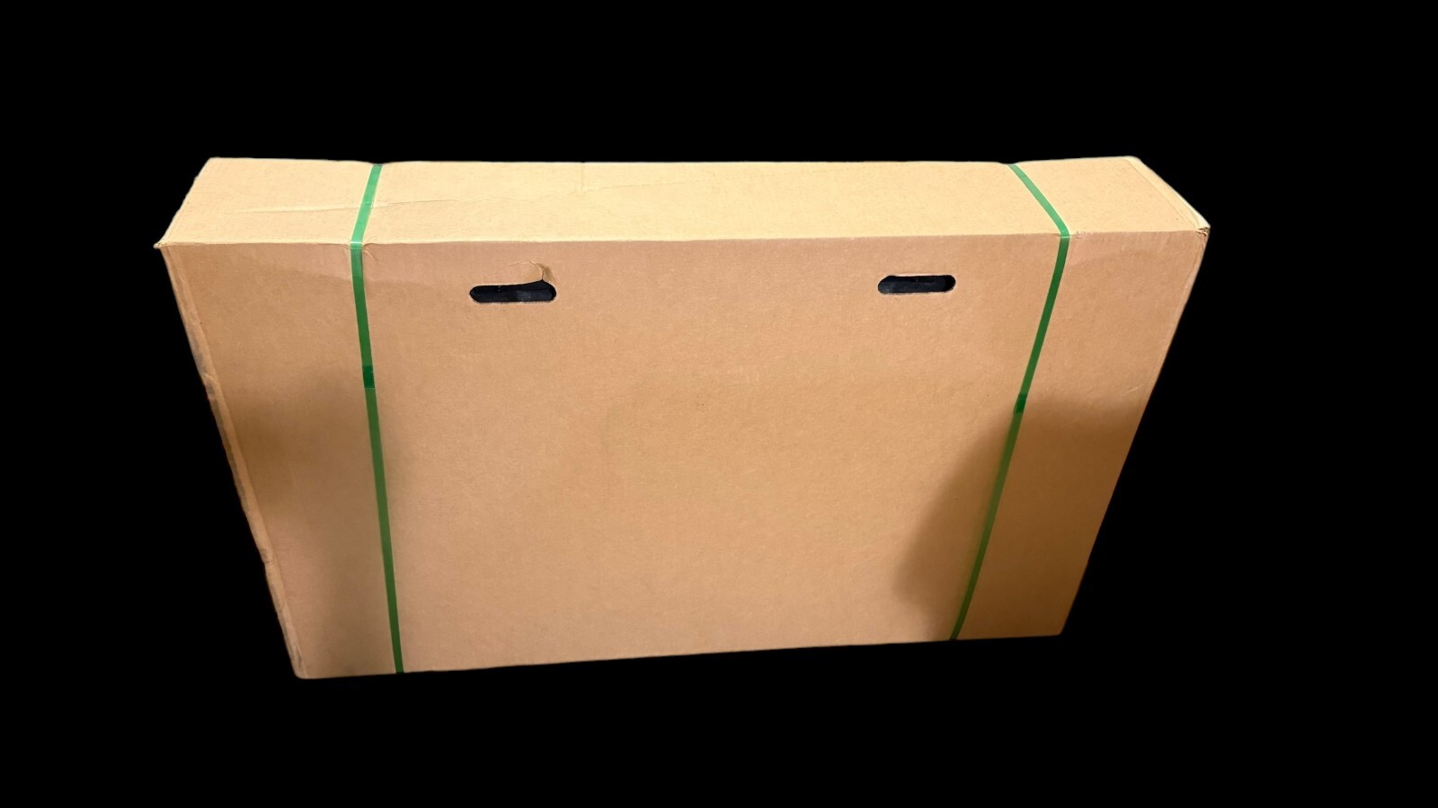 Hood Insulator - GM (84108317) | eBay