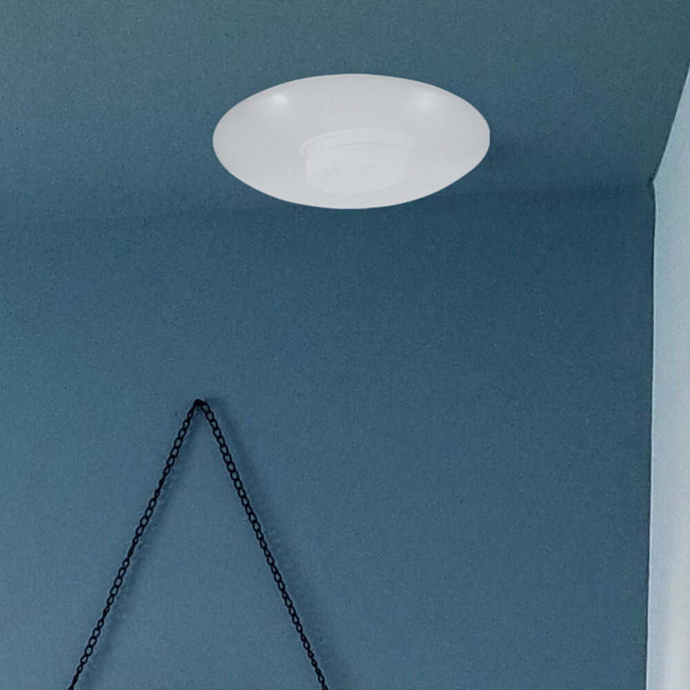 Ceiling Light Fixture Cover