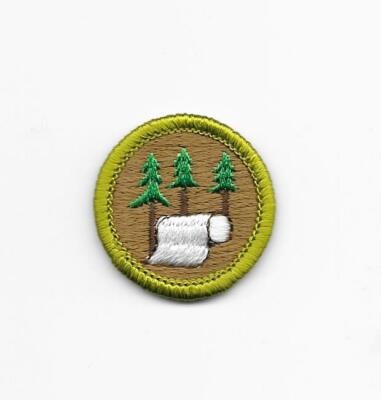 Pulp & Paper 1976-1978 Type H Clear Molded Plastic Back Merit Badge Boy ...