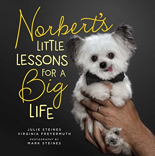 NORBERT'S LITTLE LESSONS FOR A BIG LIFE By Julie Steines & Virginia Freyermuth 9781501187315 | eBay