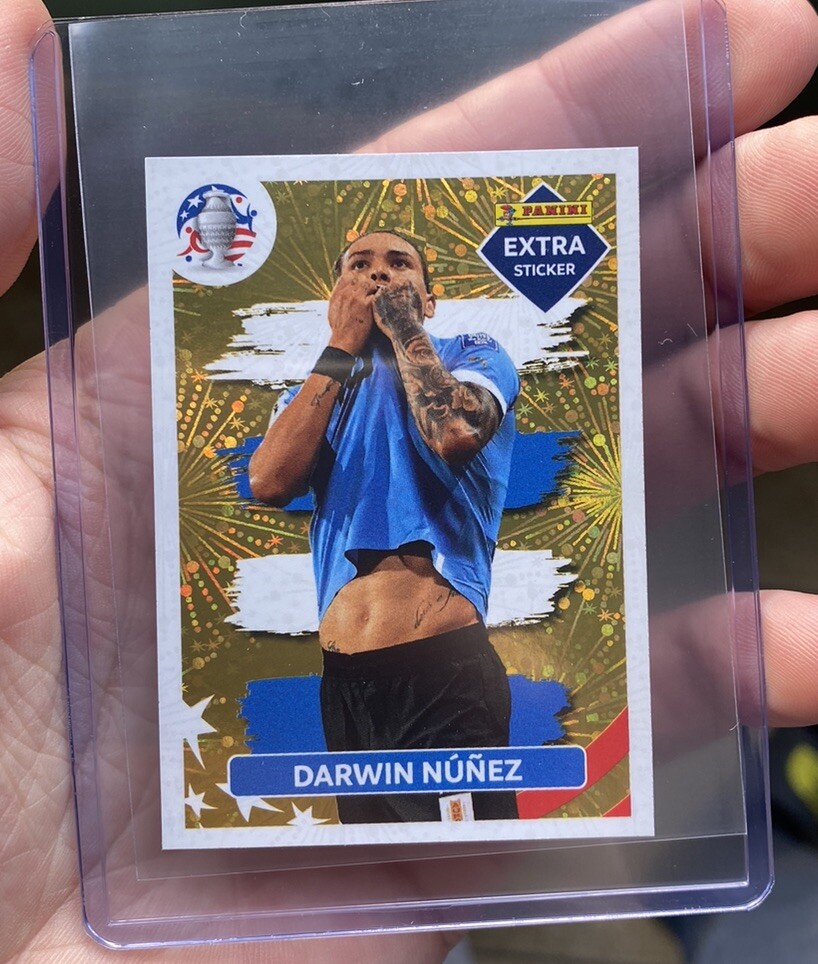 Brazil version 2024 Panini Extra Sticker | Grelly USA