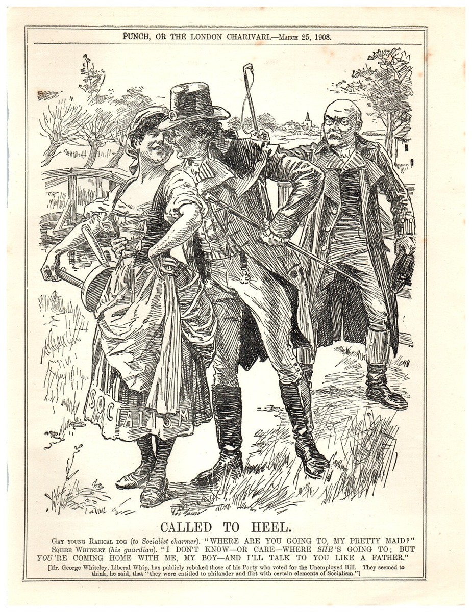 Anti Socialism Cartoon