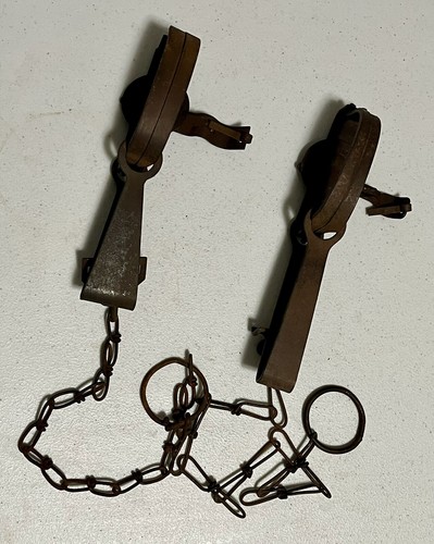 2 Vintage Small Animal Traps, Oneida Victoria, Triumph, 4” Jaw with ...