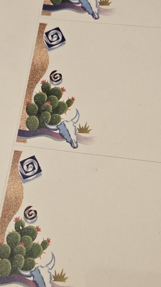 NEW Idea Art Western Cactus Border BLANK White Business Cards - 250 ...