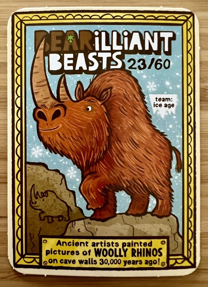 YoYo Bear Cards 2023 Bearilliant Beasts - GREAT CONDITION - ALL ...