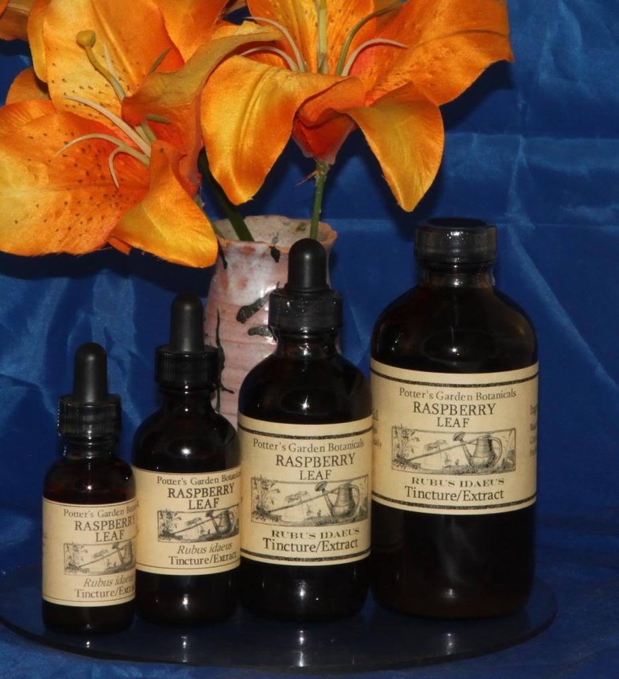 RASPBERRY LEAF Tincture blood bowel pregnancy uterine ORGANIC FOLK ...
