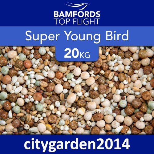 Super Young Bird 20kg (No Maize) Bamfords Top Flight Pigeon Food | eBay