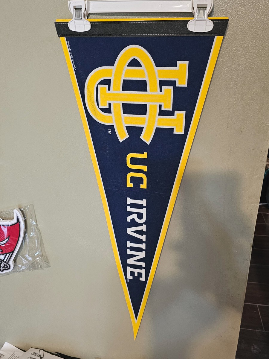 Uc Irvine Flag Memes