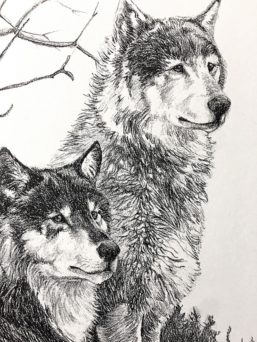 Wolf Graphic Art Drawings Wolf Wall Art Print | Black And White Poster