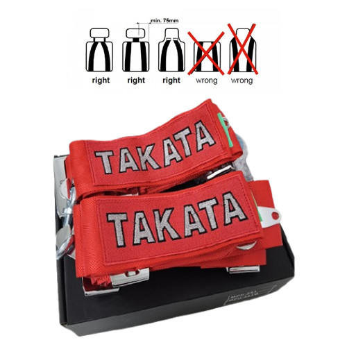 Takata Belt Model