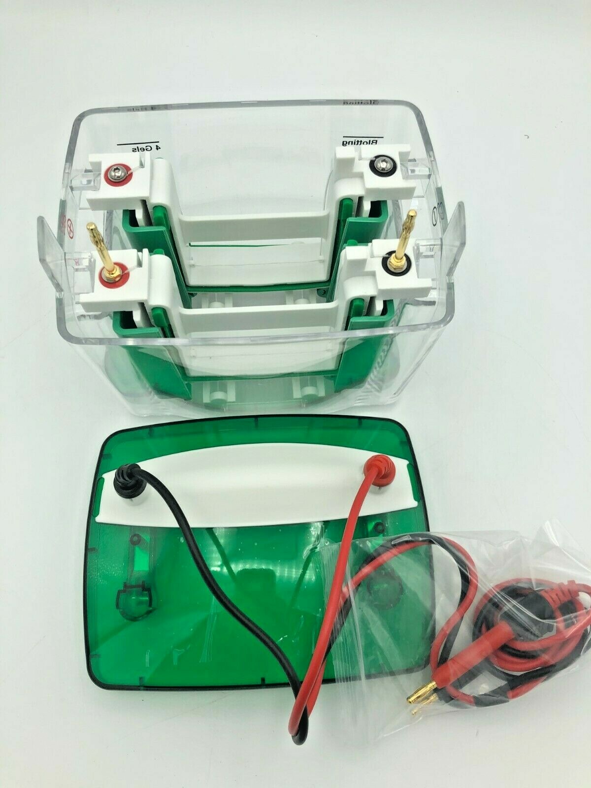 Bio-Rad 1658004 Mini-PROTEAN Tetra Vertical Electrophoresis Cell ...