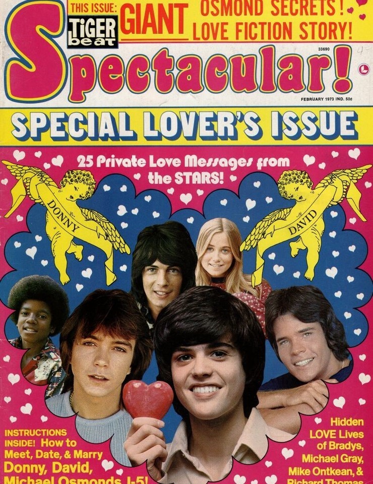 Donny Osmond pinup Maureen McCormick Rick Springfield Michael Gray ...