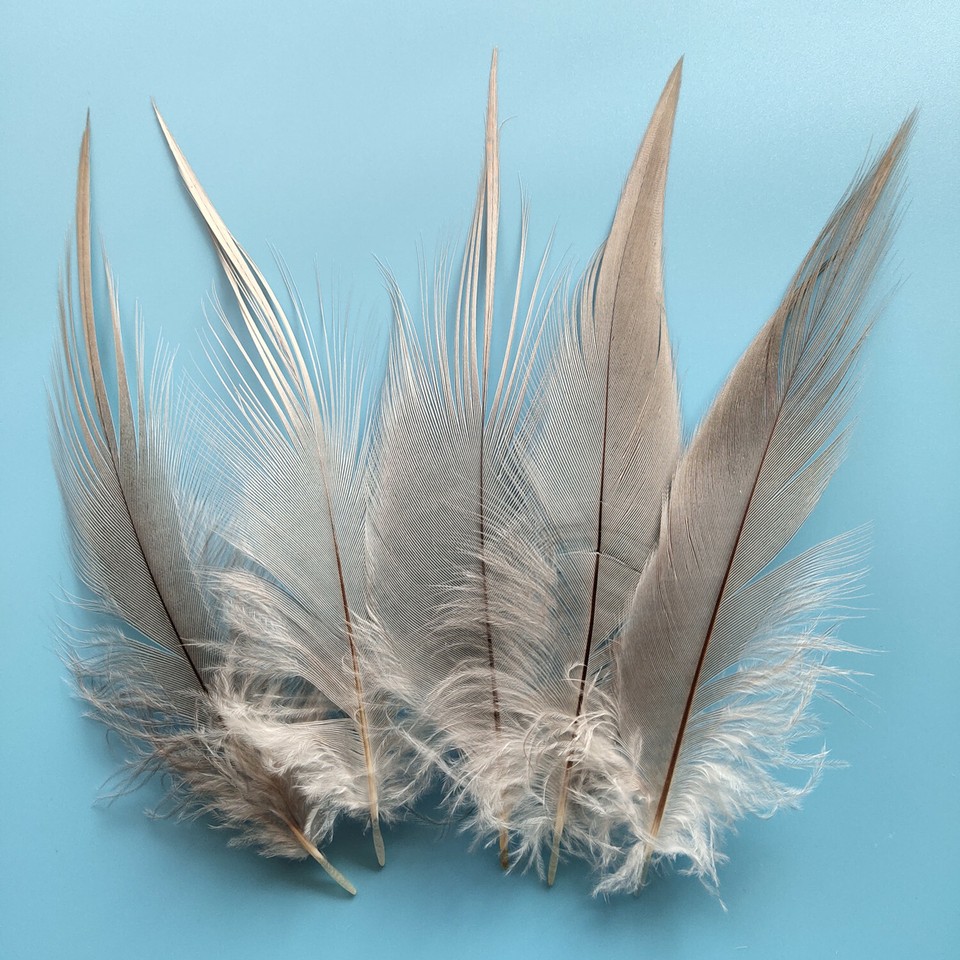 Hot 10-100pcs Gray Heron Silk Feathers 2-10 inch/5-25 cm Decorative ...