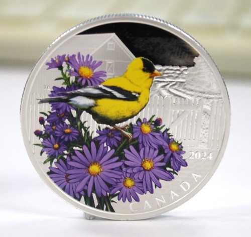 Canada 2024 American Goldfinch Bird $20 1ozt .999 silver coin | eBay