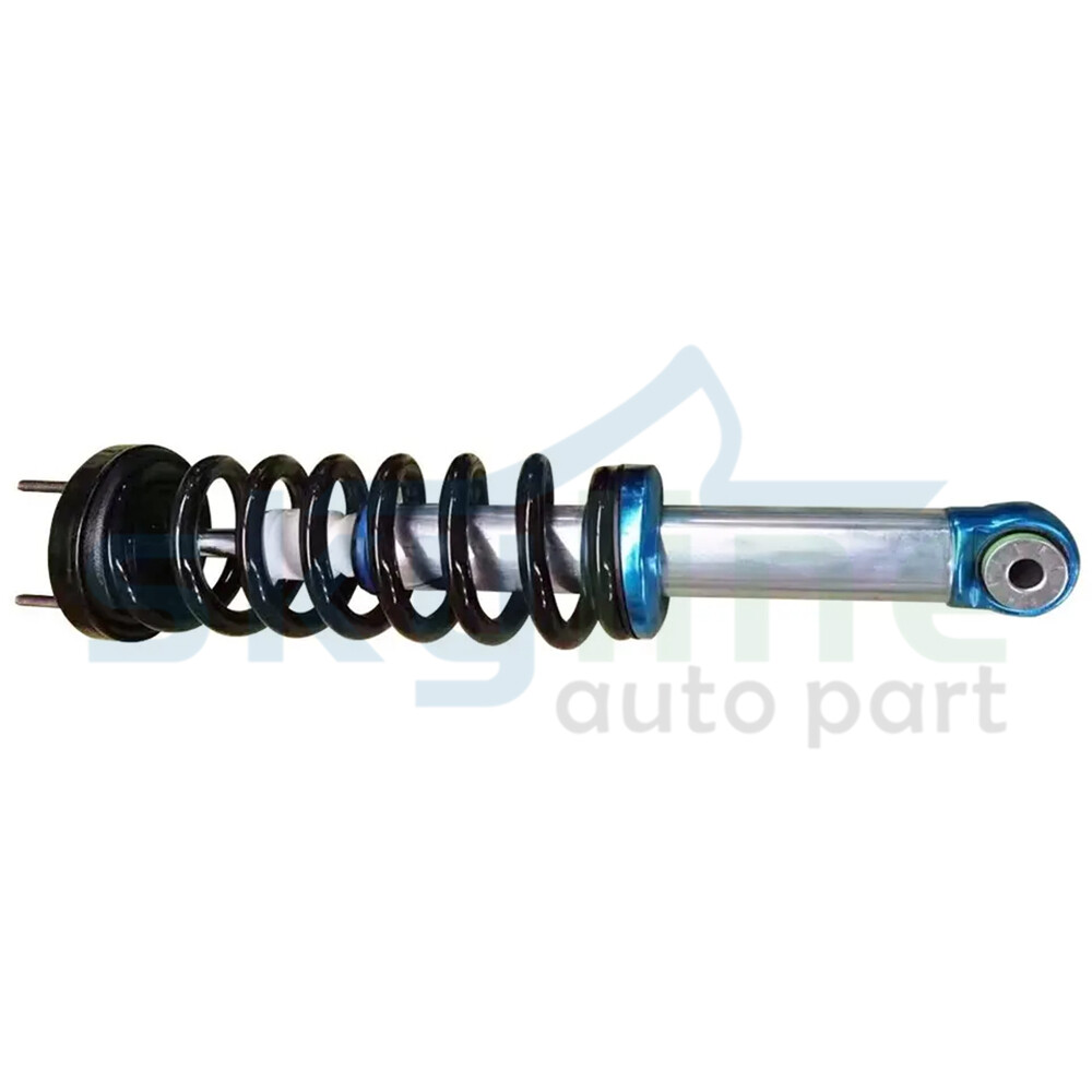 Pair Front Shock Absorber Strut Assys For Ford F-150 SVT Raptor STX ...
