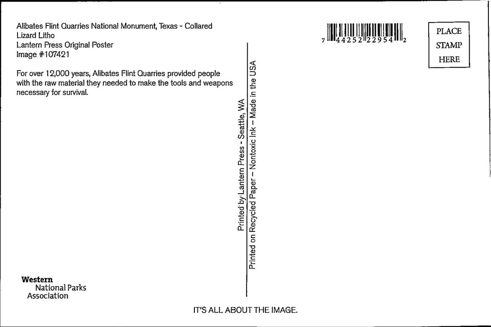 Alibates Flint Quarries National Monument Collared Lizard Litho ...