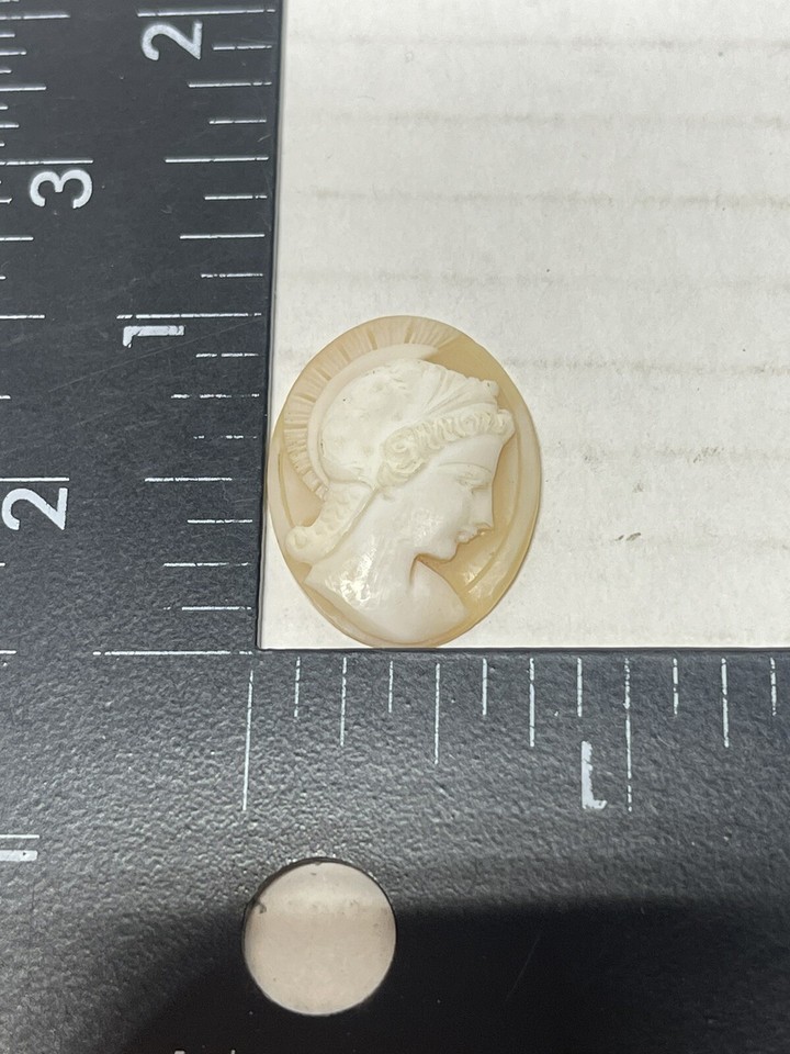 Antique Victorian Loose Achilles Cameo Conch Shell Carved Greek God ...