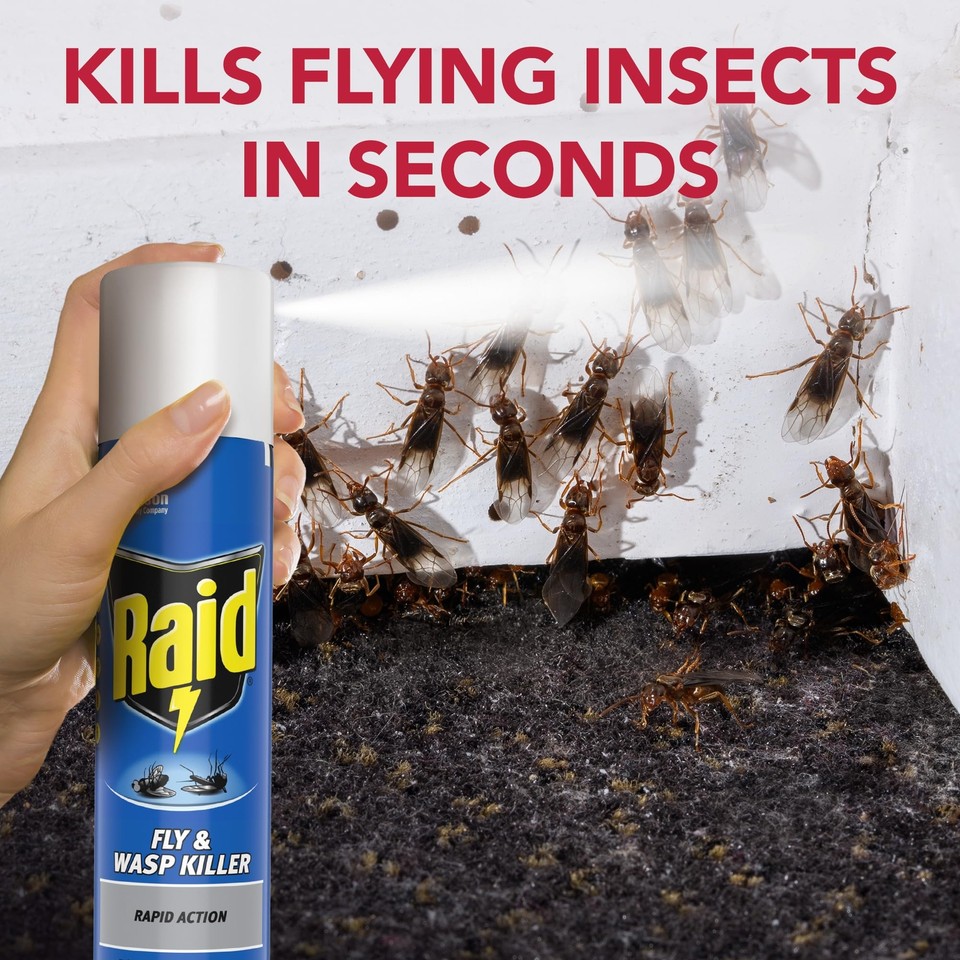 Raid Rapid Action Fly & Wasp Killer, Fly Killer Spray For Indoor,Pack ...