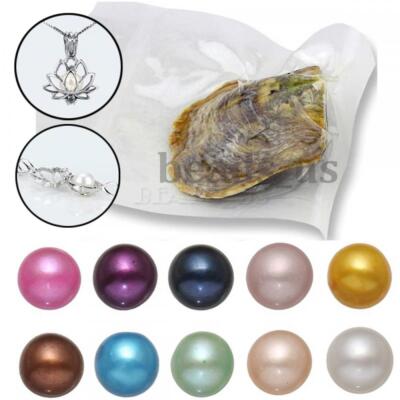 10PCS Natural Akoya Pearl Oysters Real Pearl Freshwater Pearl Holiday ...