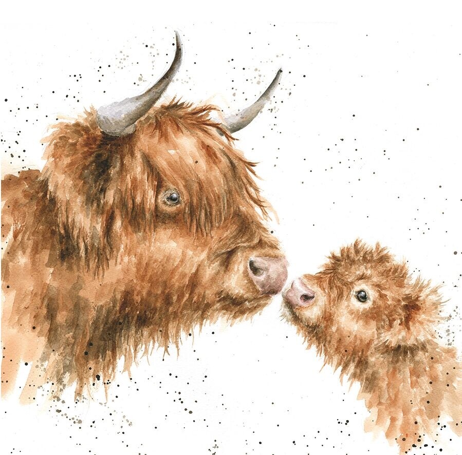 Highland Cow Greeting Card - Wrendale Designs Country Set Gentle One ...