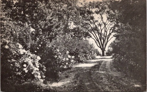 postcard view card | eBay