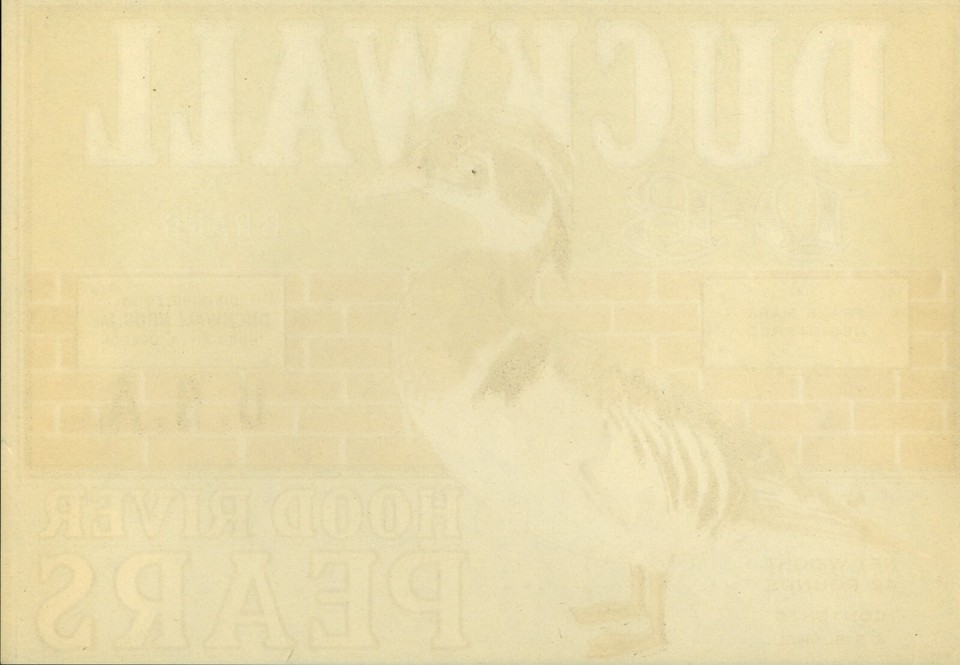 D B Duckwall Brand Rare Pear Crate Label - Green - 42 Pounds - Hood ...