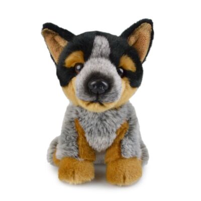 Lil Friends 18cm Blue Heeler Dog Kids Soft Animal Plush Stuffed Toy 3y ...