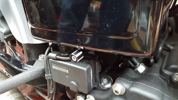 HARLEY FAT BOB BATTERY COVER BOLT | eBay