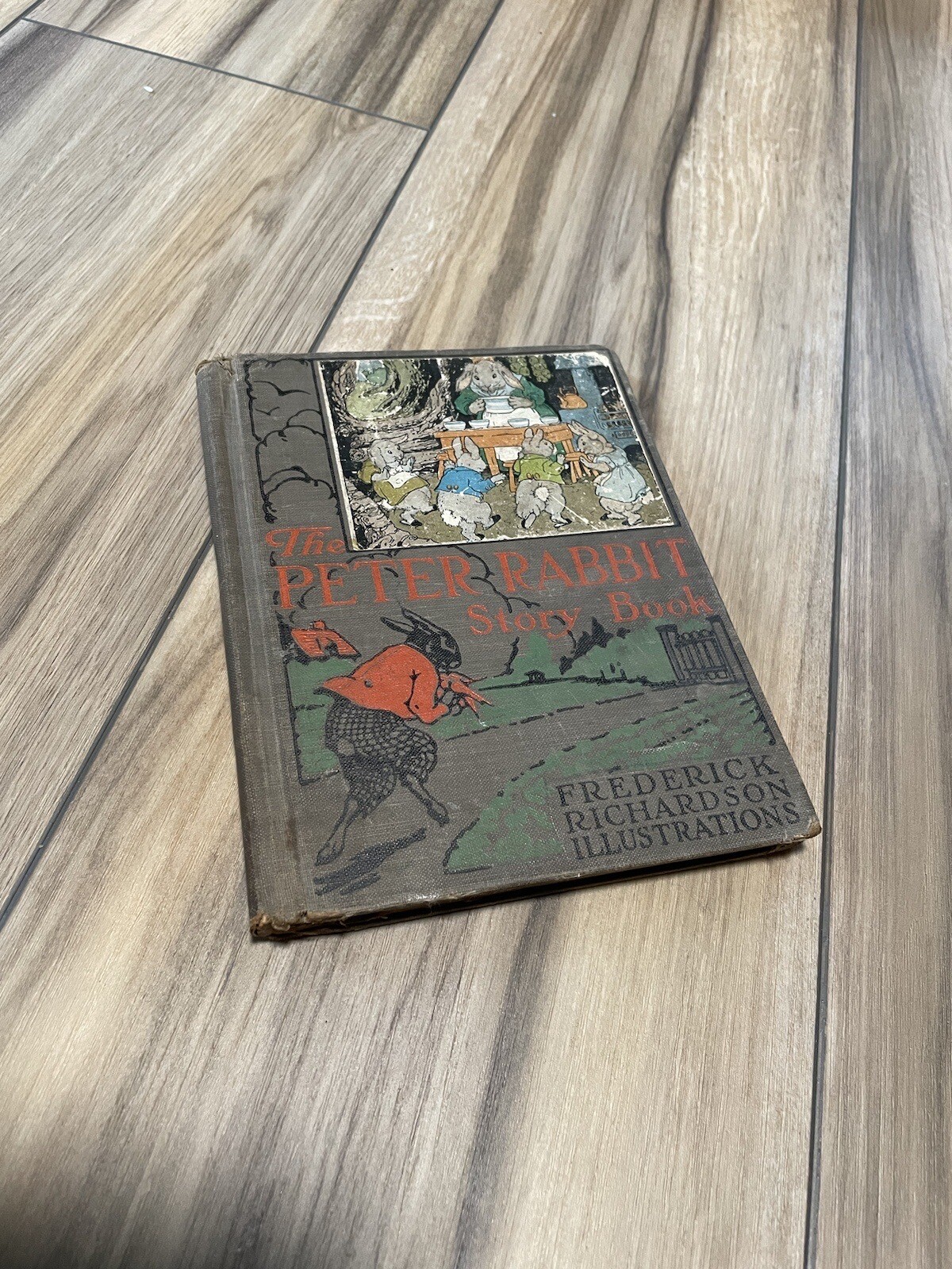 Peter Rabbit Story Books 1920 Frederick Richardson illustrated juvenile ...