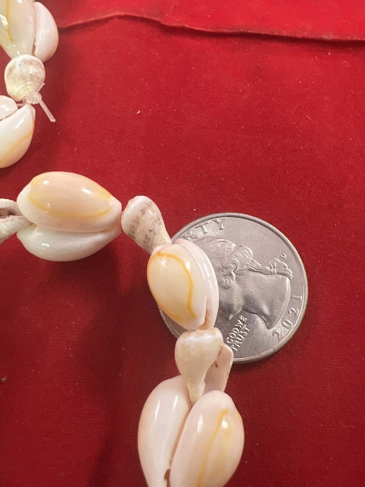 Vintage Medium Cowrie Shell Necklaces Natural Shell H… - Gem