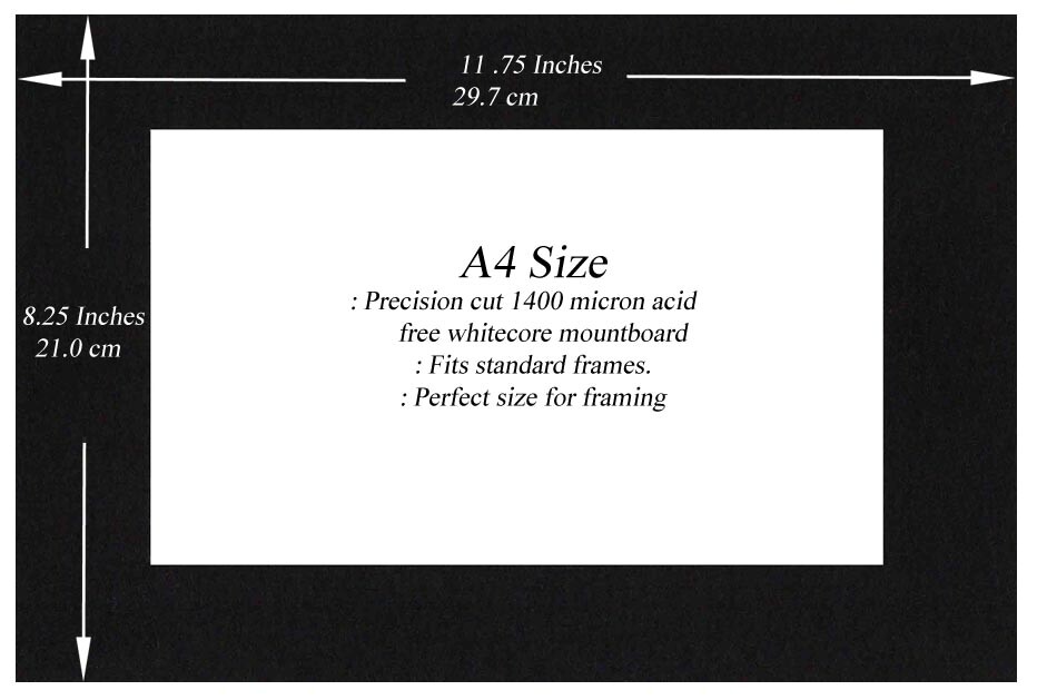 A4 Mount THE UNDERTAKER Signed Autograph PHOTO Ready To Frame WWE ...