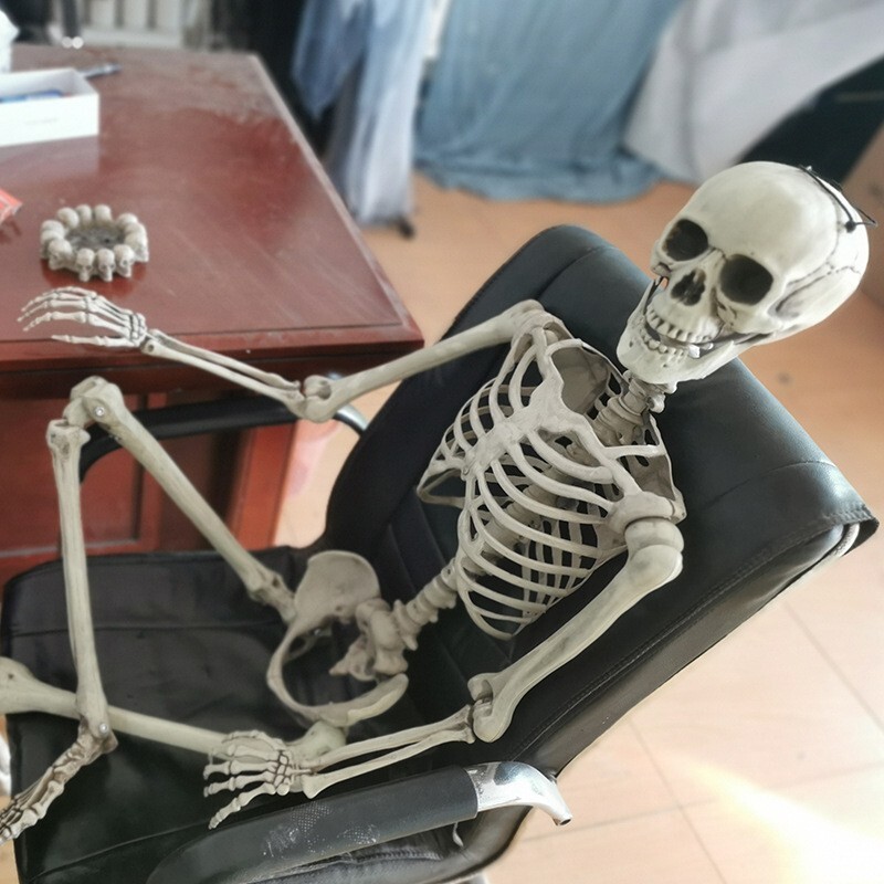 5 ft 5 in Halloween Poseable Life Size Skeleton Party Prop Human ...