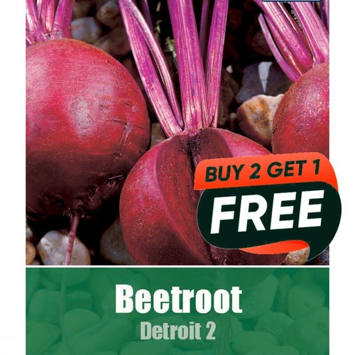 Vegetable Seeds Beetroot Detroit 2 -195 Seeds Garden Finest Seed Salad ...