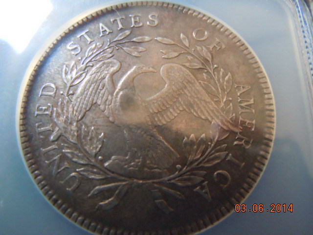 1795 FLOWING HAIR DOLLAR, RARE SILVER PLUG VARIETY, NGC AU DETAIL, BB ...