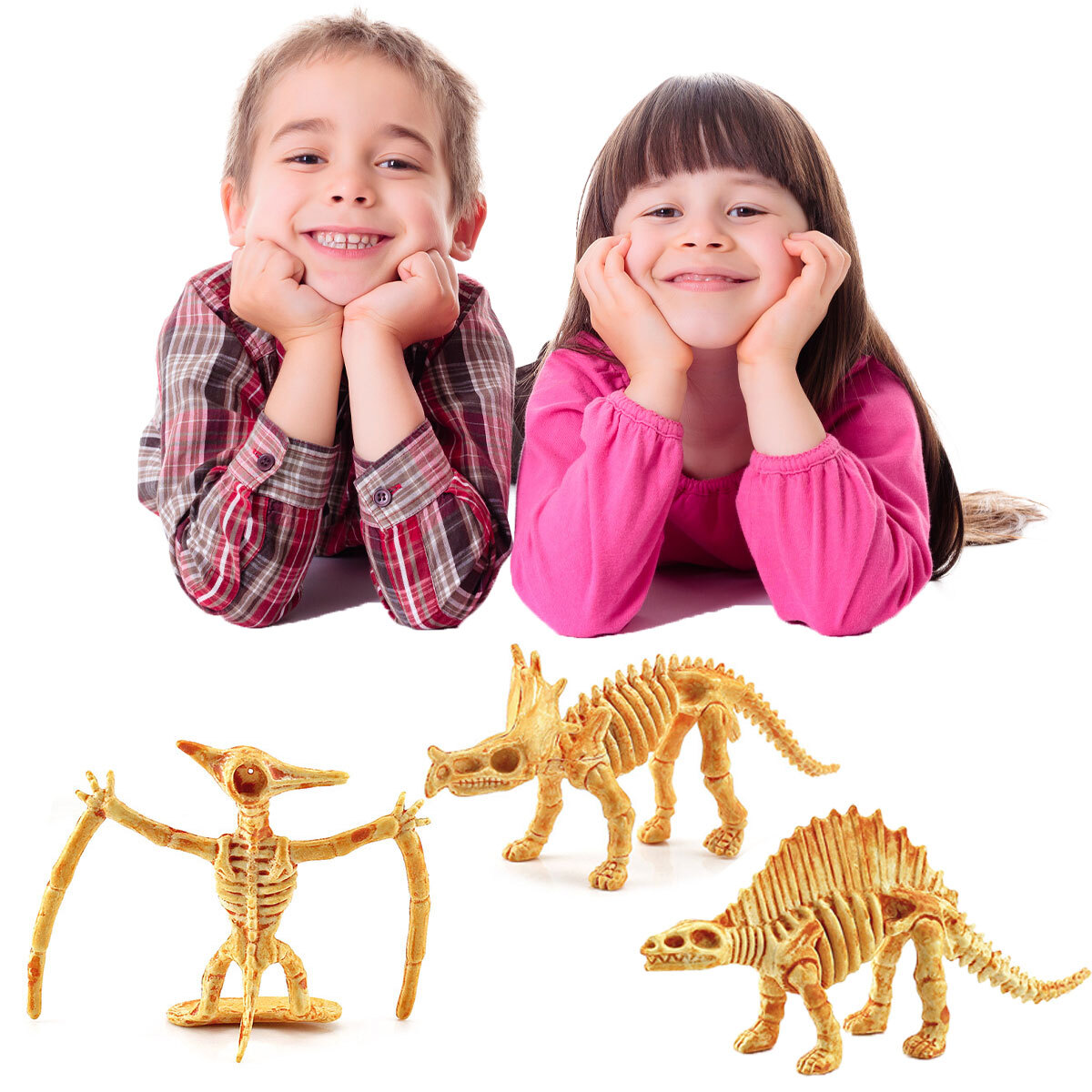 12Pcs Dinosaur Fossil Skeleton Assorted Dino Bones Skeleton Toy for🐕 | eBay