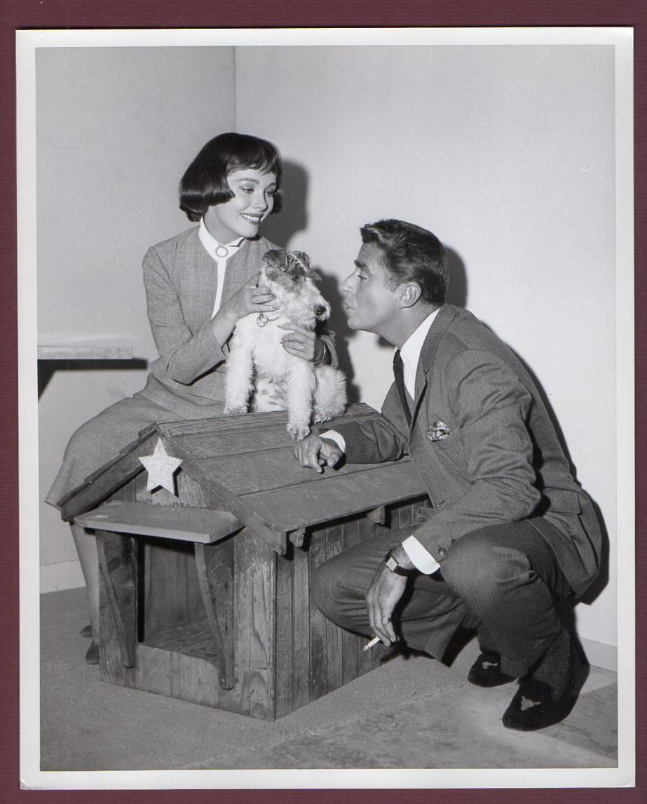 Phyllis Kirk Tv Series House Of Wax Phyllis Kirk 1953 Photo Print