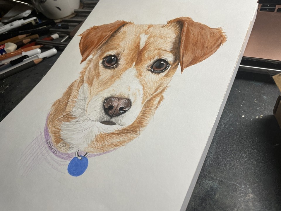 COA original art drawing Mixed Dog Portrait animal dog 8”x10”pet A4 ...