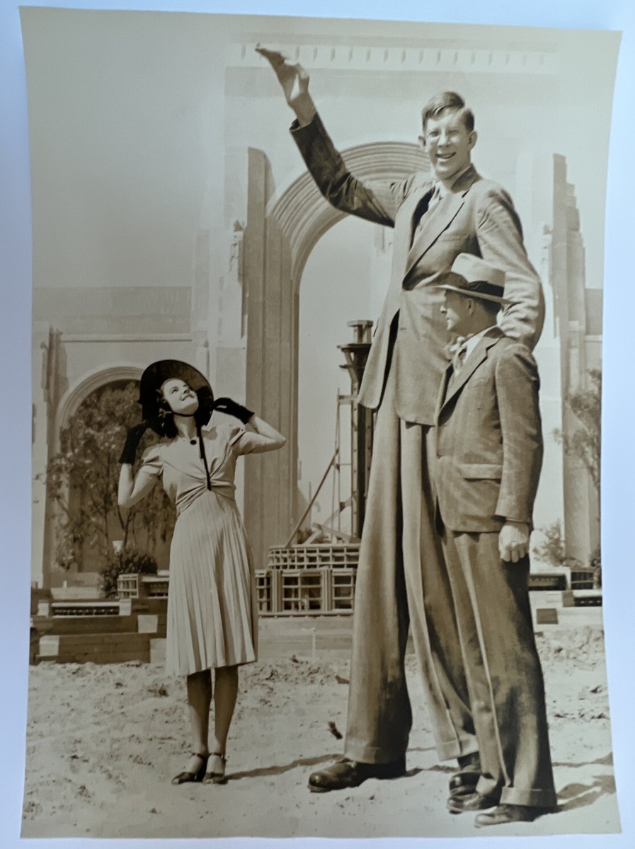 Robert Wadlows Chair Replica Of Robert Wadlow's Chair In Alton,