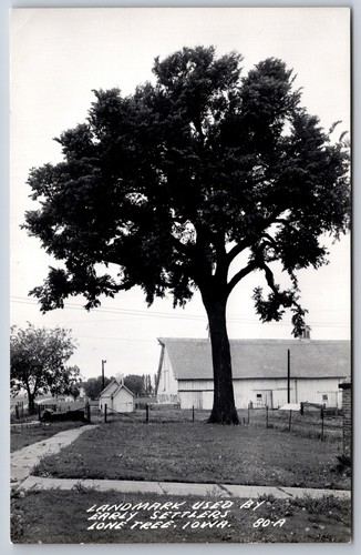 Lone Tree Iowa~Early Settlers Landmark: The Tree~Farm & Barn Behind ...